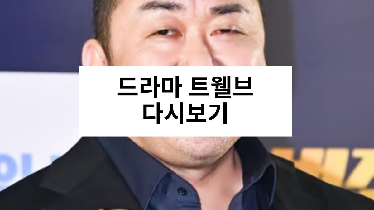 드라마 트웰브 다시보기 재방송 보러가기 출연진 등장인물 인물관계도 방송시간 회차정보 1회 2회 3회 4회 5회 6회